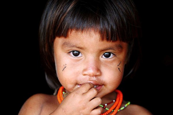 No Mundo da Arte: O Índio no Brasil