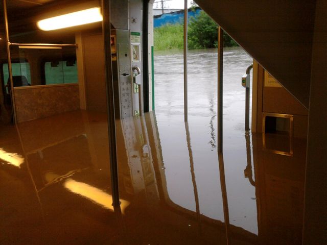 You. Me. Ride This Crazy Train - Adventures and Observations on The GO ...