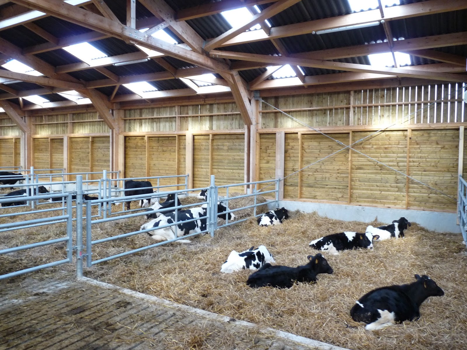 RADINGHEM - TNLA 2015: Une nouvelle ferme est arrivée