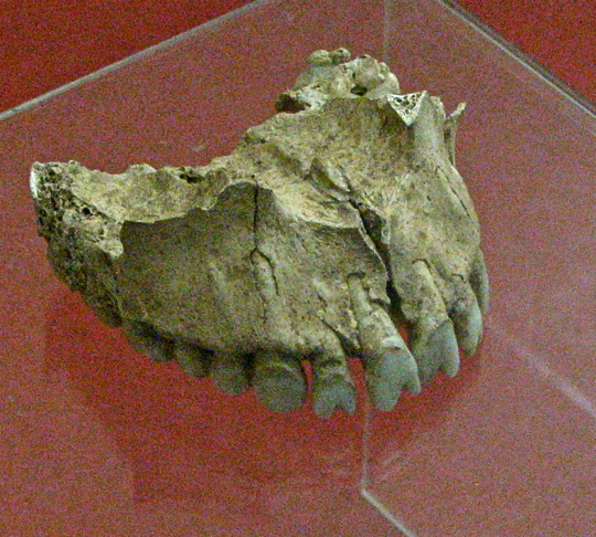 Jim & Carole's Mexico Adventure: Guatemala Part 2b: Ancient Maya Lifestyle