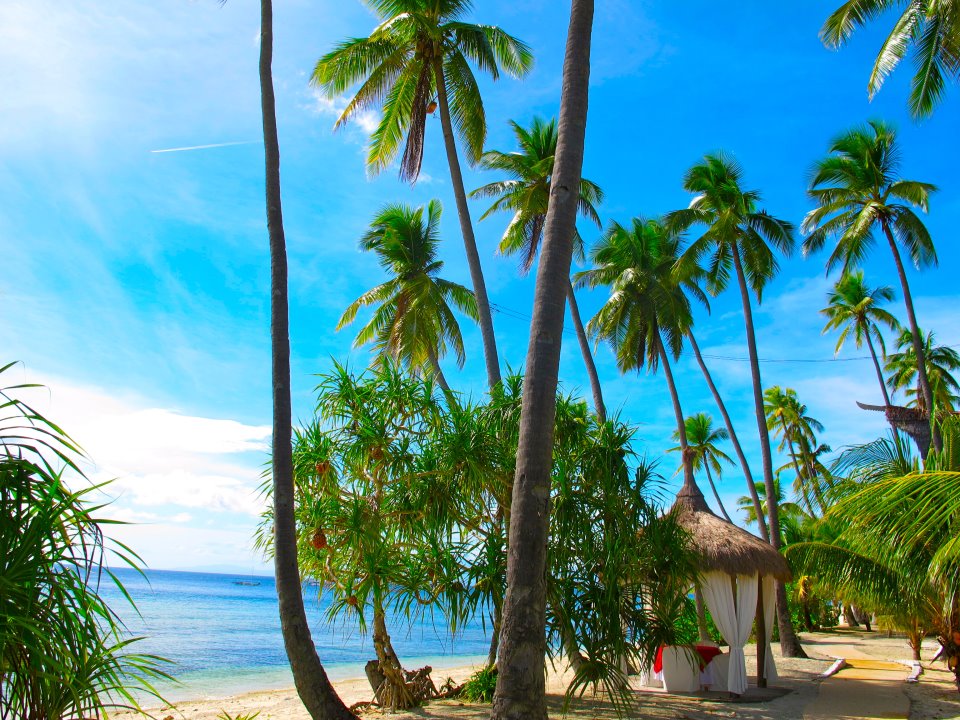 Philippine Accommodation ~ Coco Grove Beach Resort