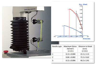 Texture Analysis Professionals Blog: Noodle quality testing: a range of ...