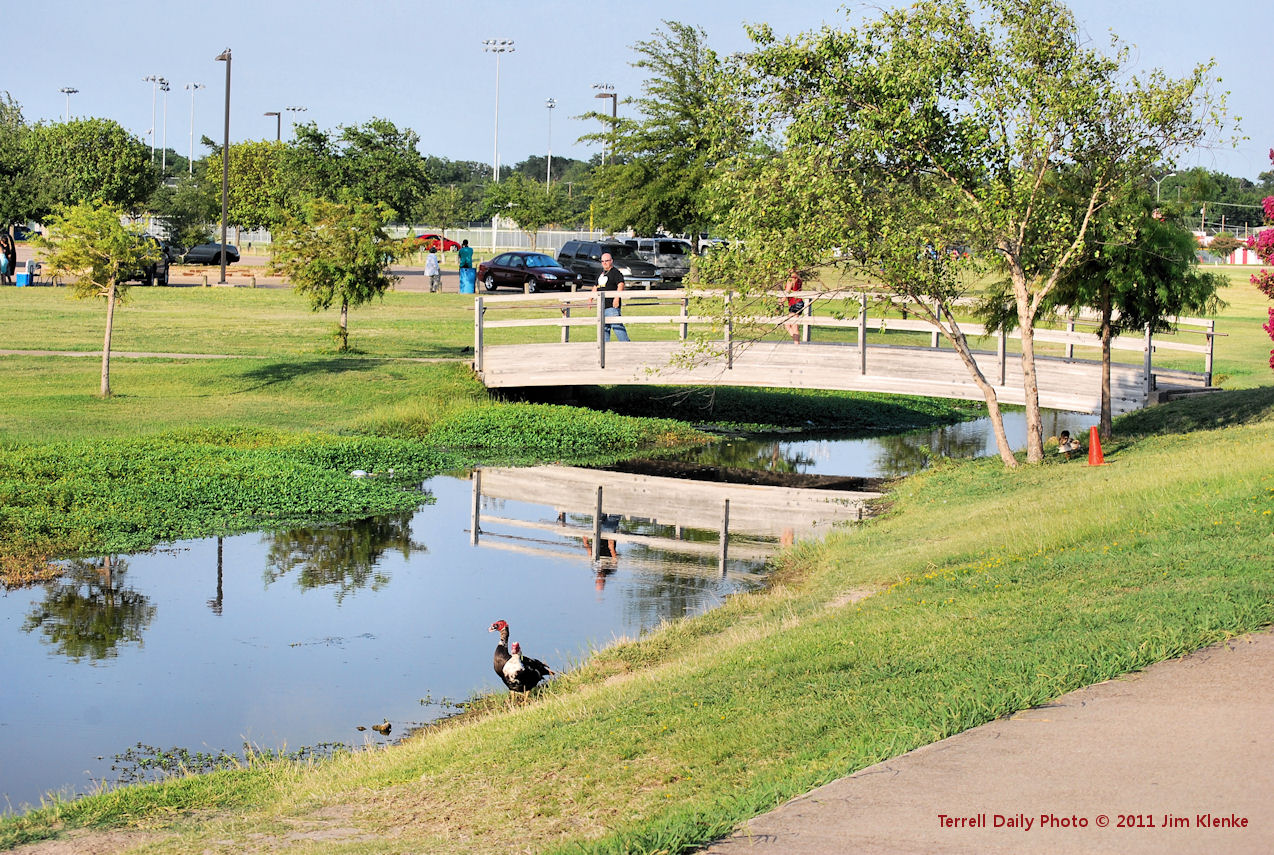 Terrell Daily Photo: Ben Gill Park
