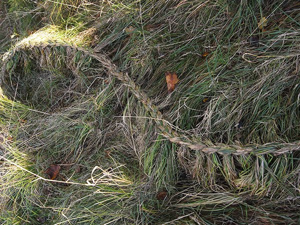 lola bits and pieces: grass braids