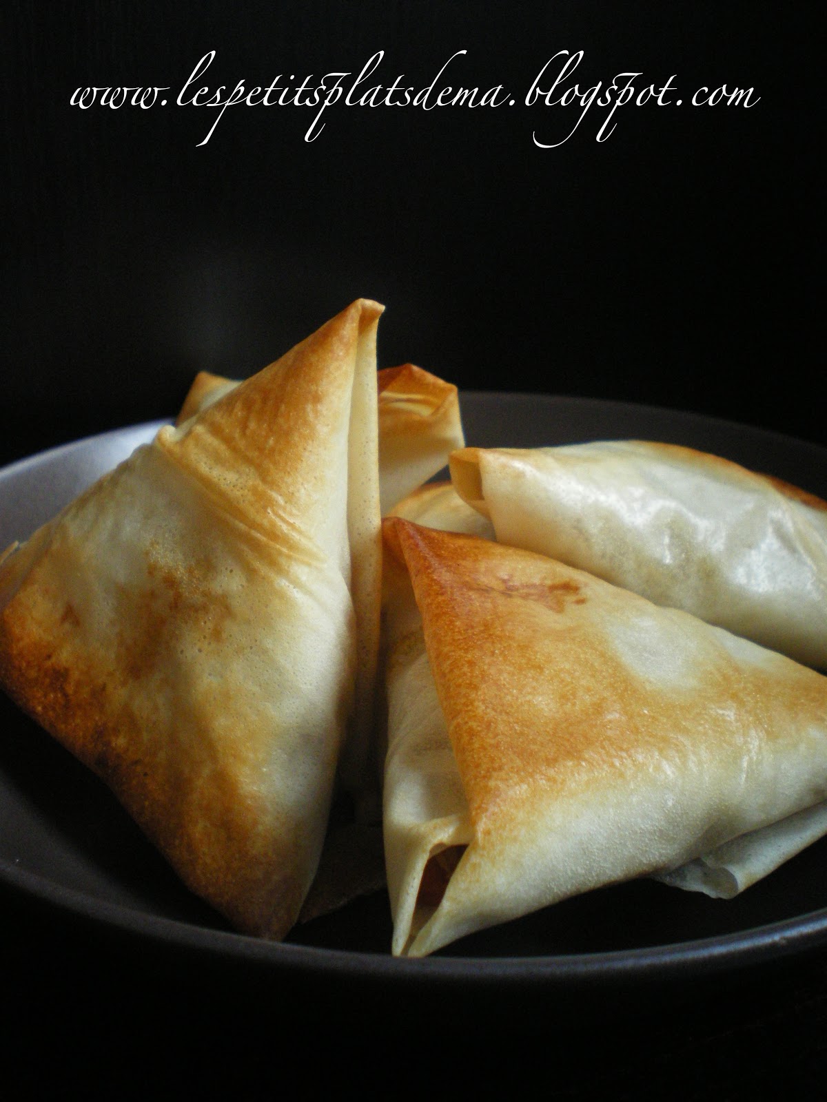 LeS PeTiTs PlAtS D'EmA: Samoussa aux légumes