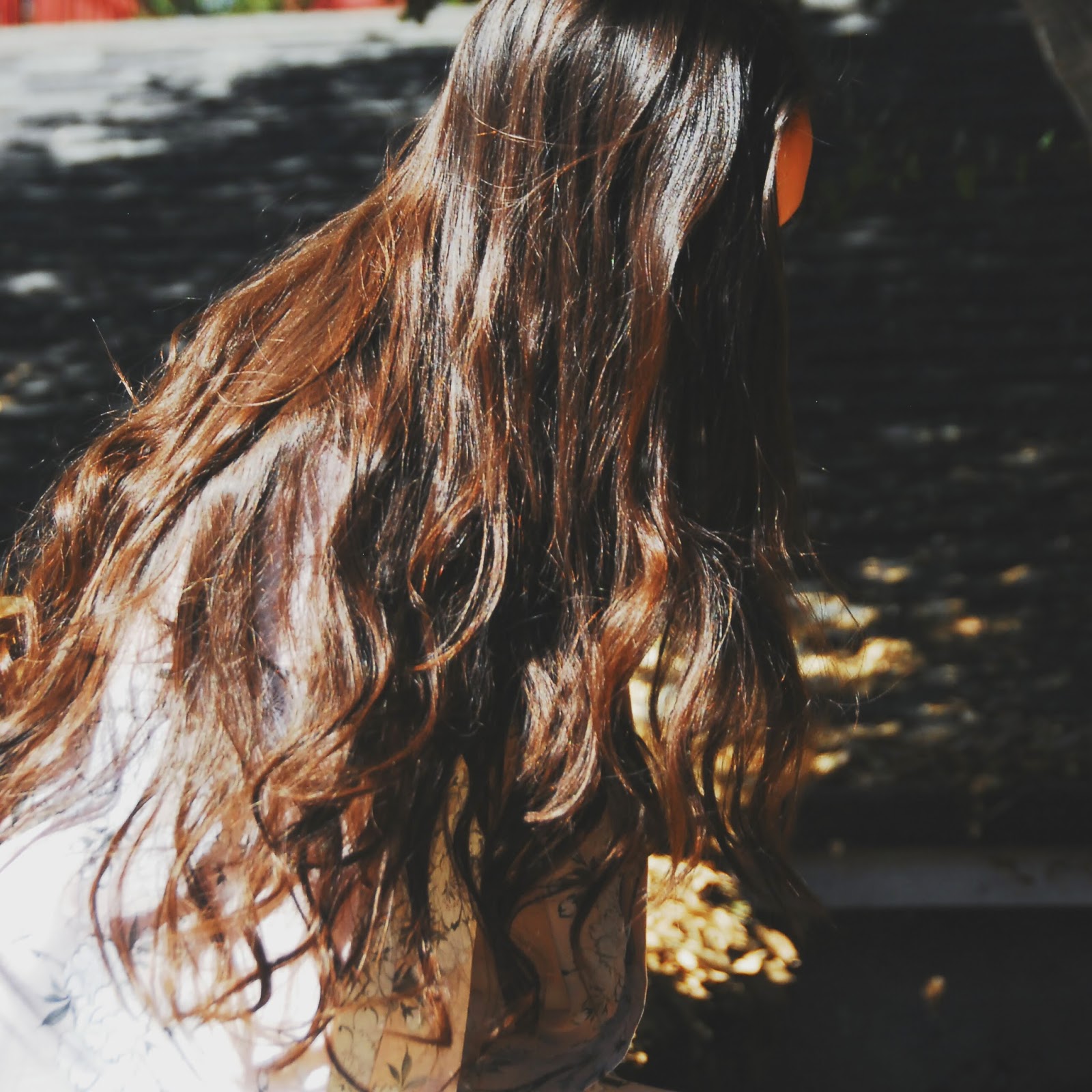 The Sarcastic Wasian: The Asian Part of Wasian