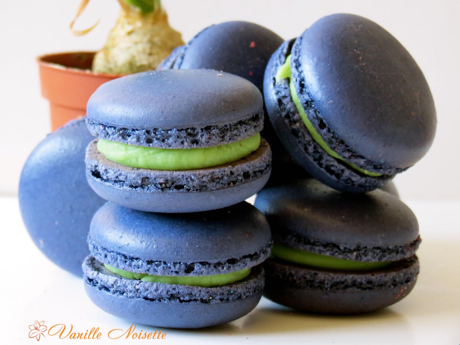 Vanille Noisette : MACARONS PISTACHE ET SES GANACHES