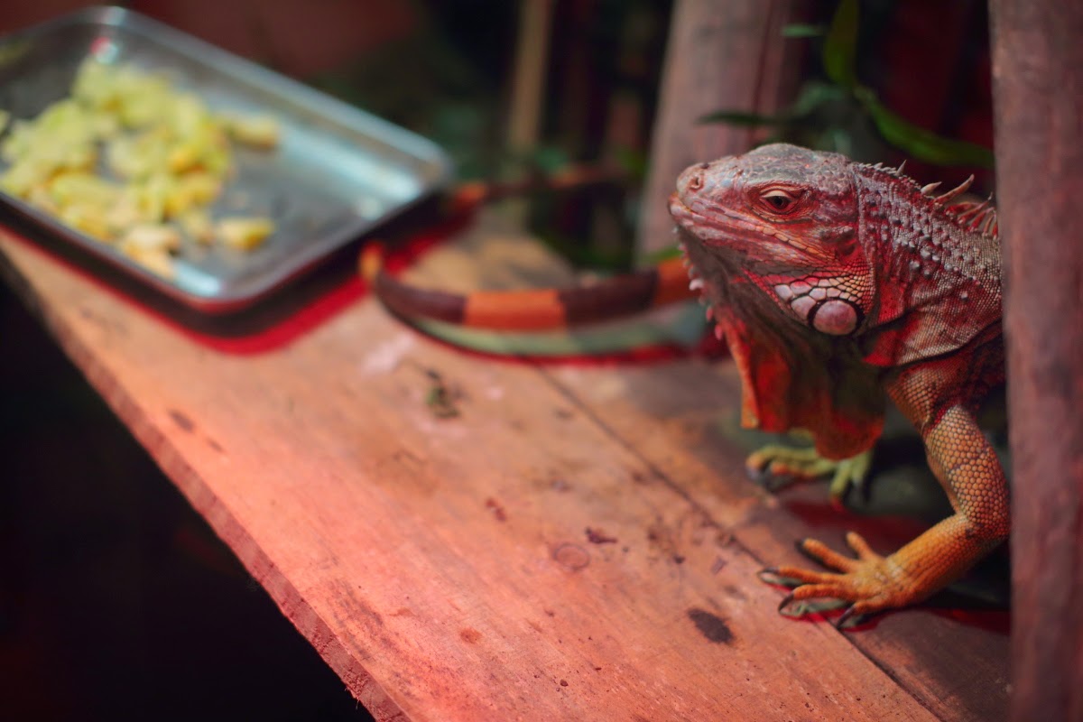 Blog sobre fotografía y viajes del fotógrafo Iñigo Escalante: Planes ...