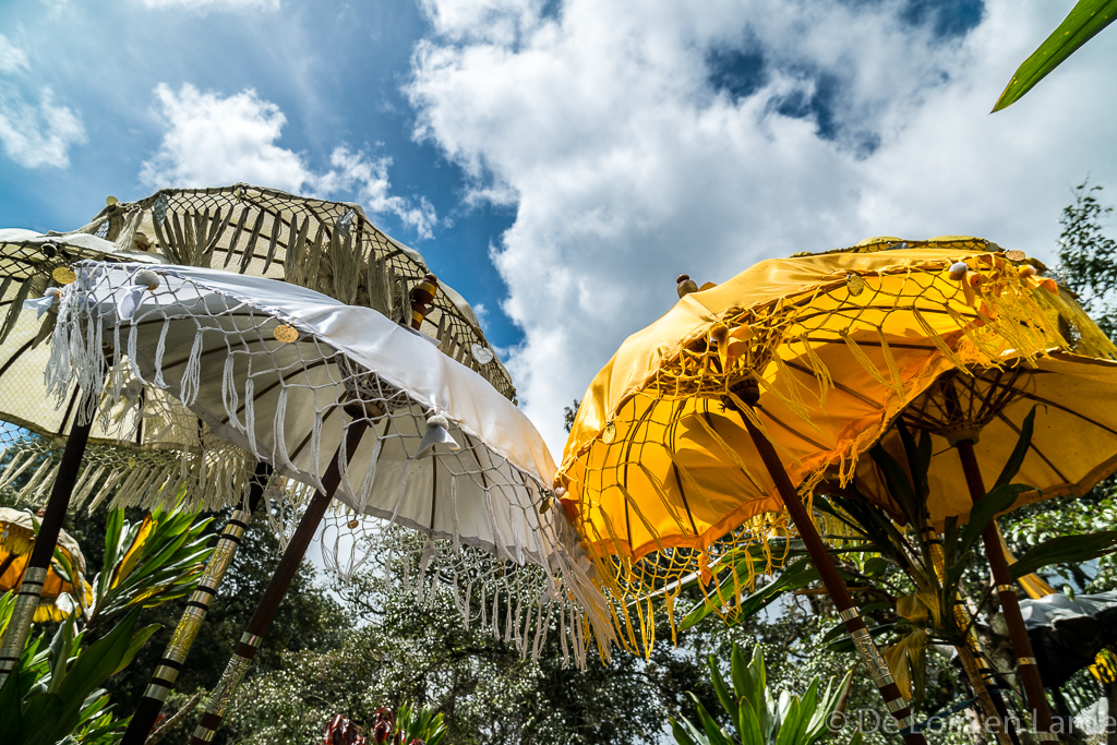 Bali - jour 12 : Munduk - Entre forêt pluviale et paysages lacustres