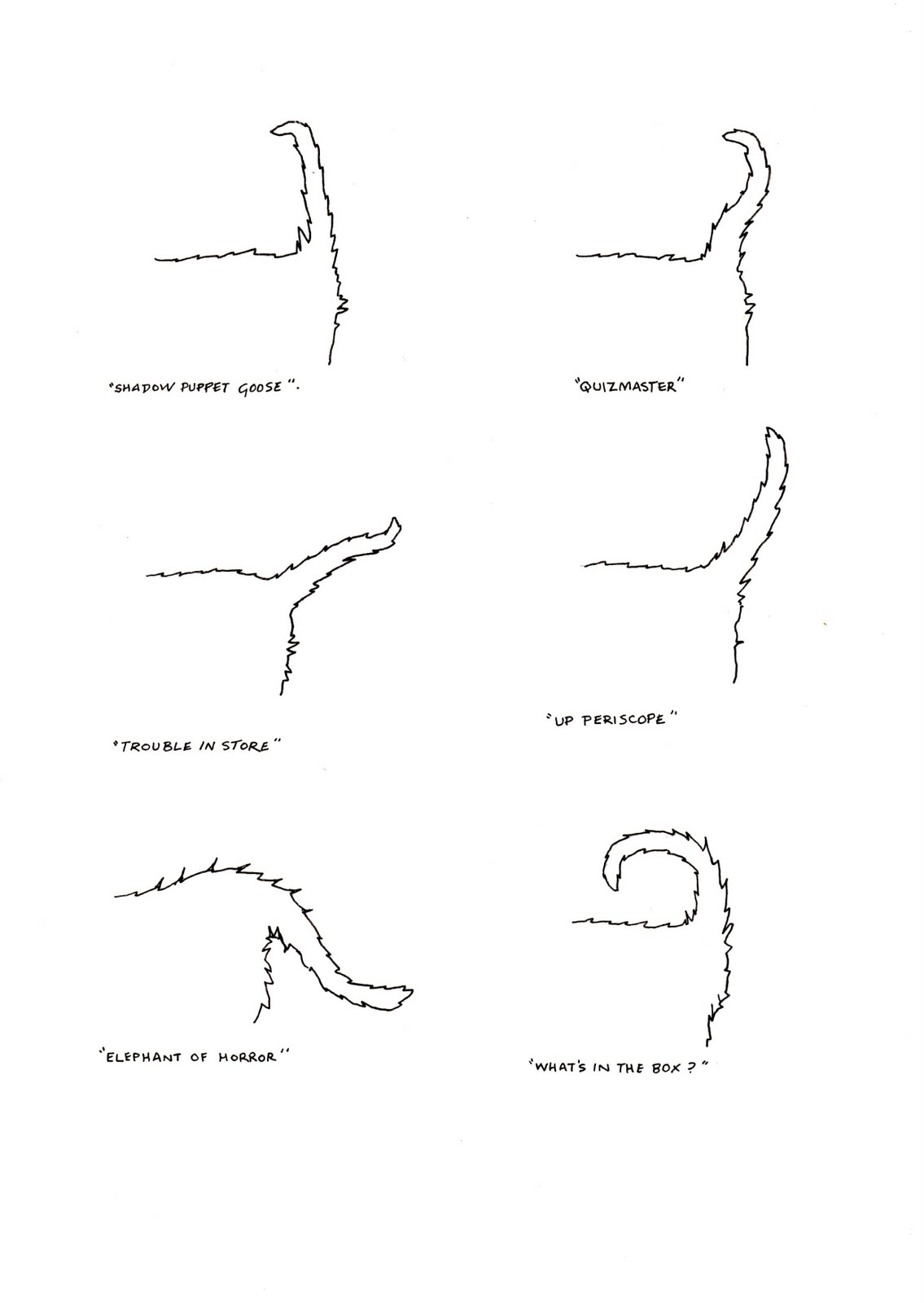 Under The Paw: A Guide To The Many Tail Positions Of My Most Expressive Cat
