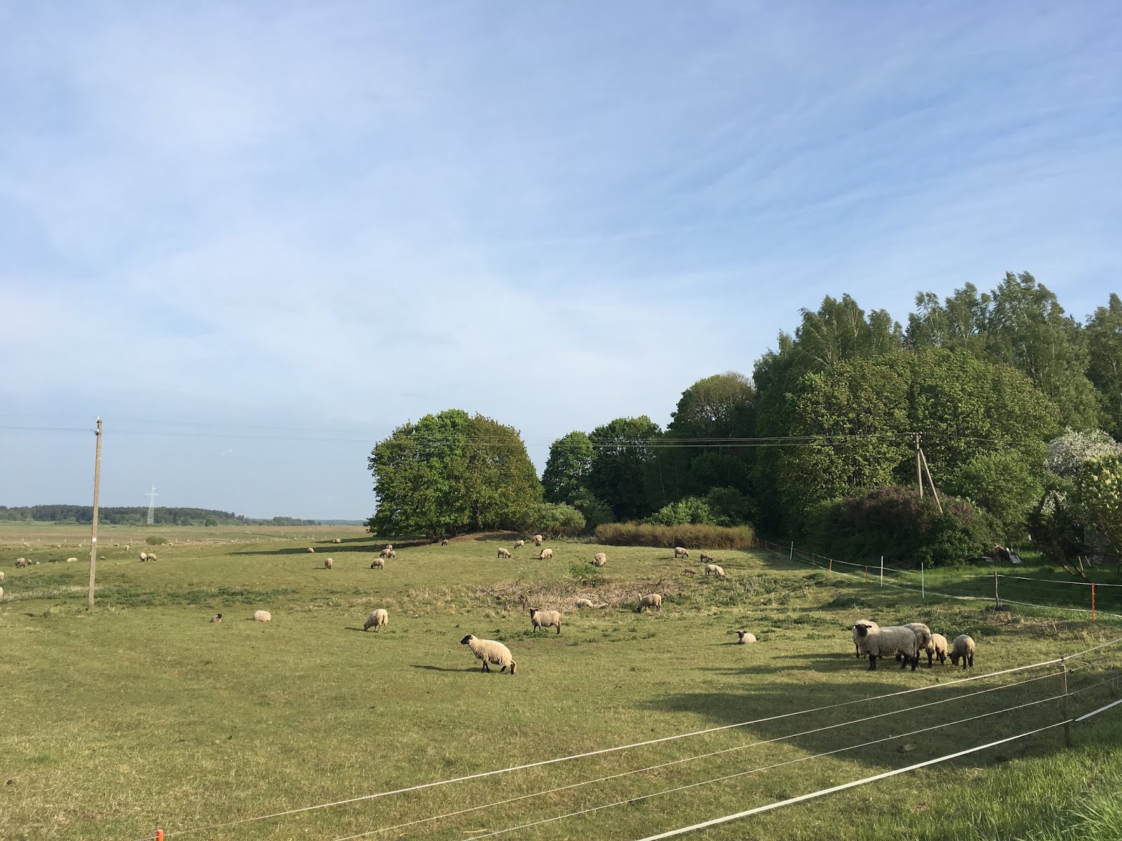 just: gegužės 2019