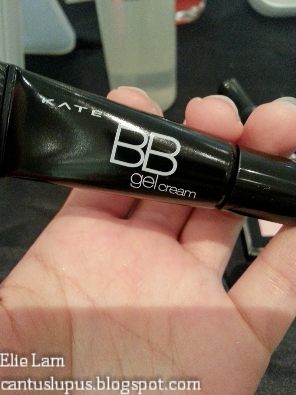 KATE Makeup Workshop - CANTUSLUPUS.COM