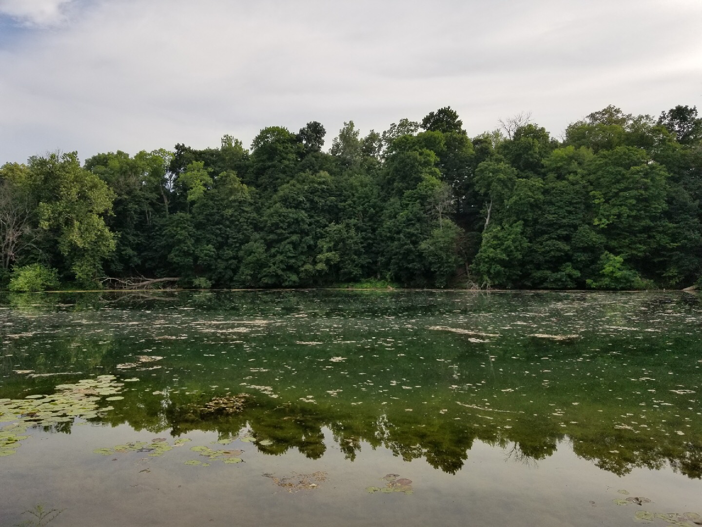 Fort St. Joseph Archaeological Project: 7/8/18 - 7/15/18
