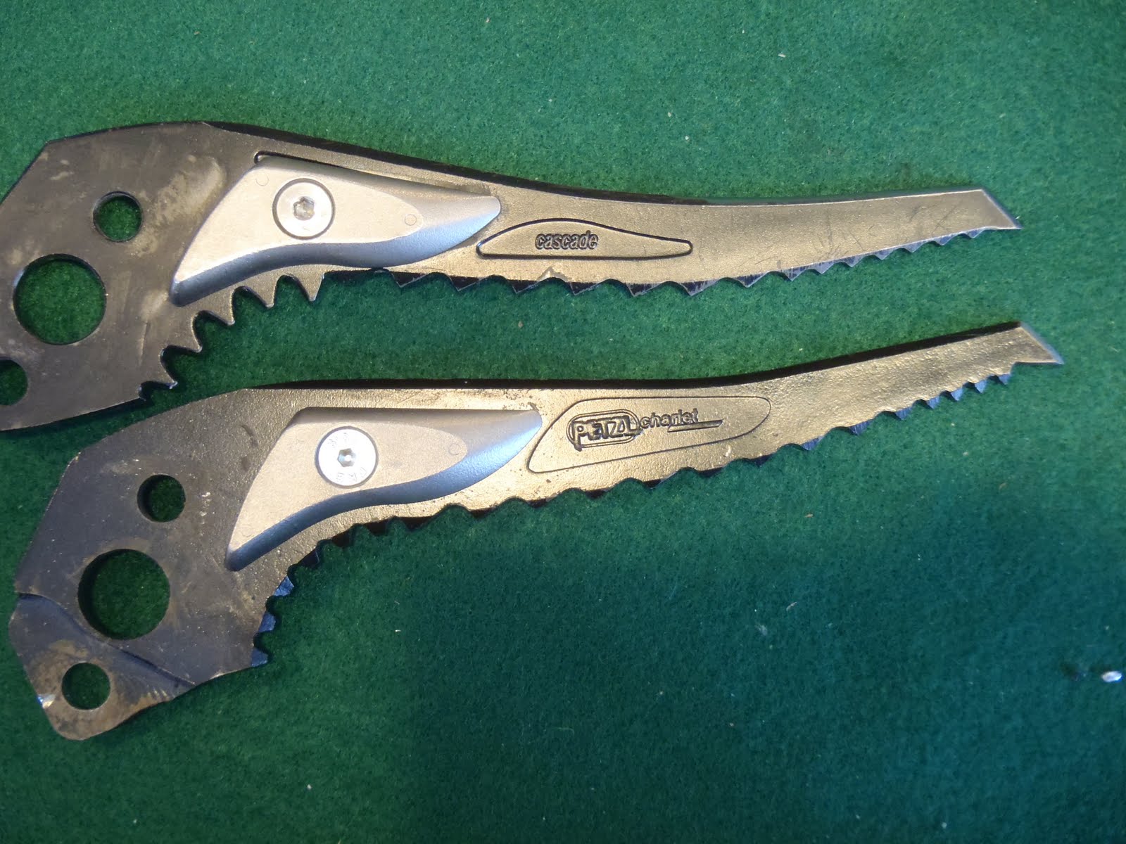 Cold Thistle: Petzl picks?