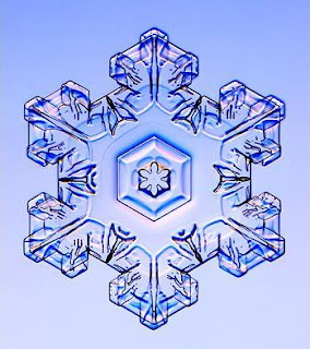 Heraldry of Life: ART with REAL SNOWFLAKES