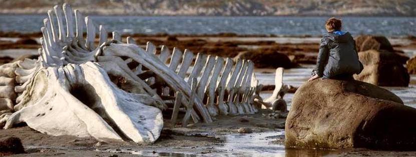 Arkası Yarın: DEV BALİNA İSKELETİ VE ÇOCUK…