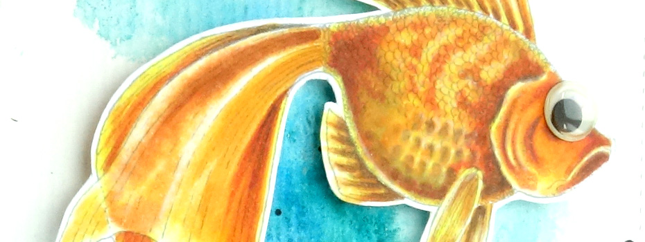 DoveArt Studios: Fish have Googly Eyes....