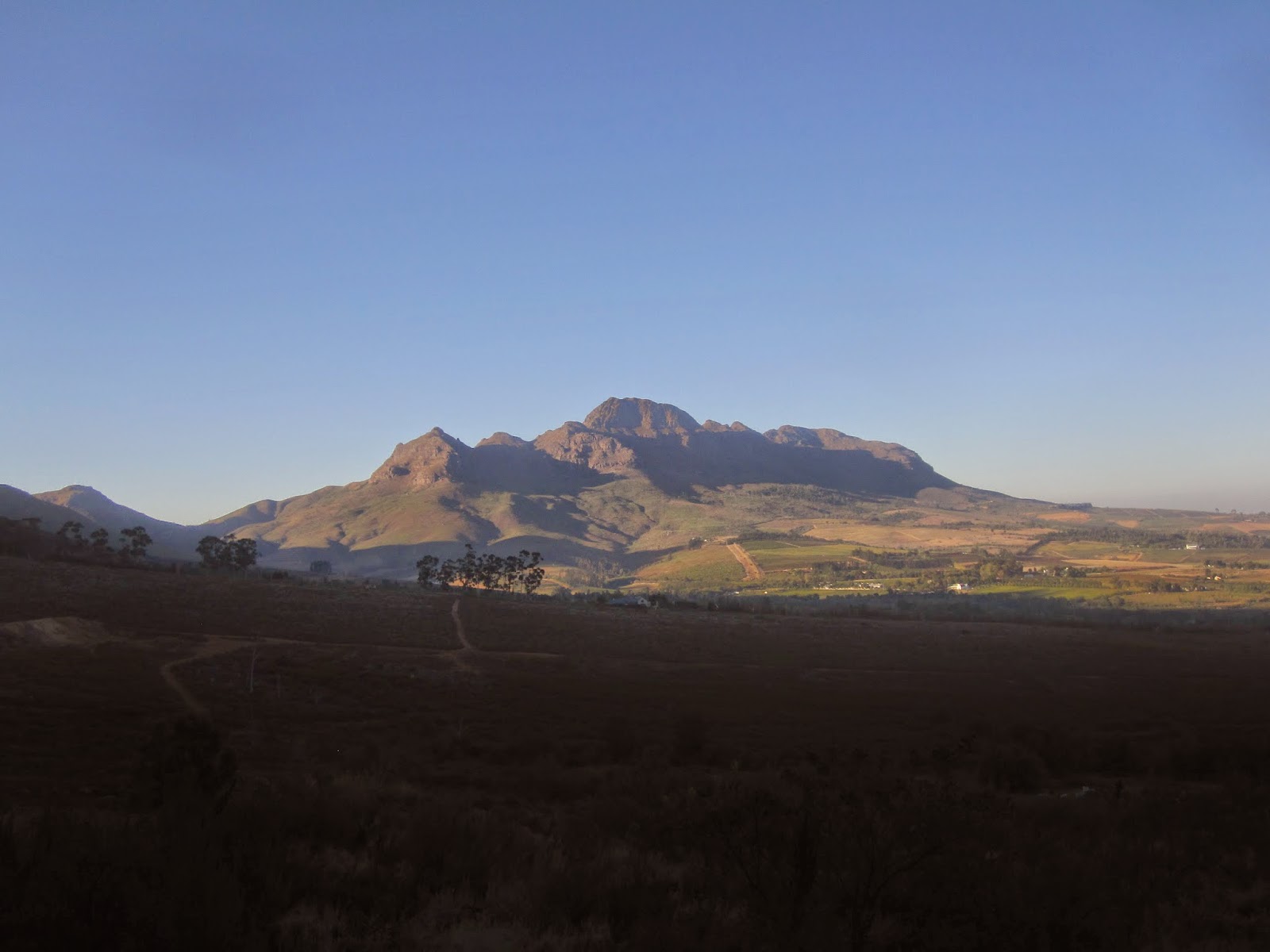 Coetzenburg-Paradyskloof Loop Trail Run
