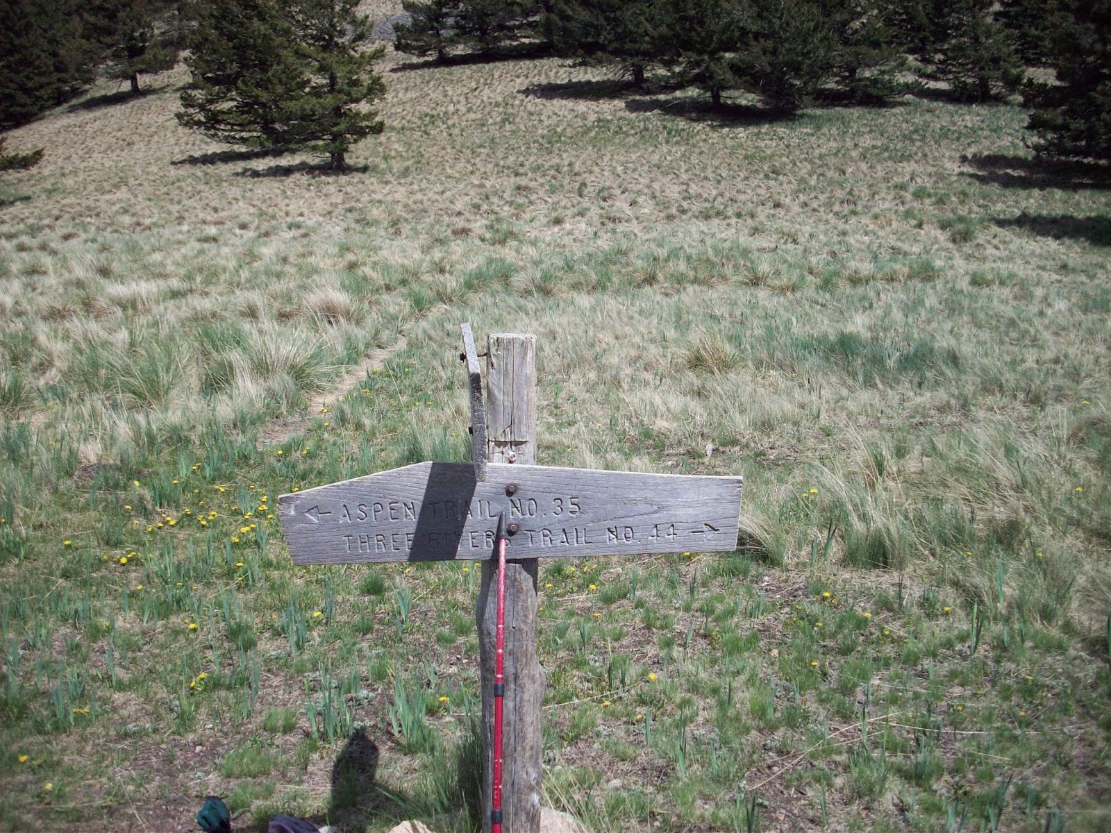 Southern New Mexico Explorer: Three Rivers Revisited-Lincoln National ...