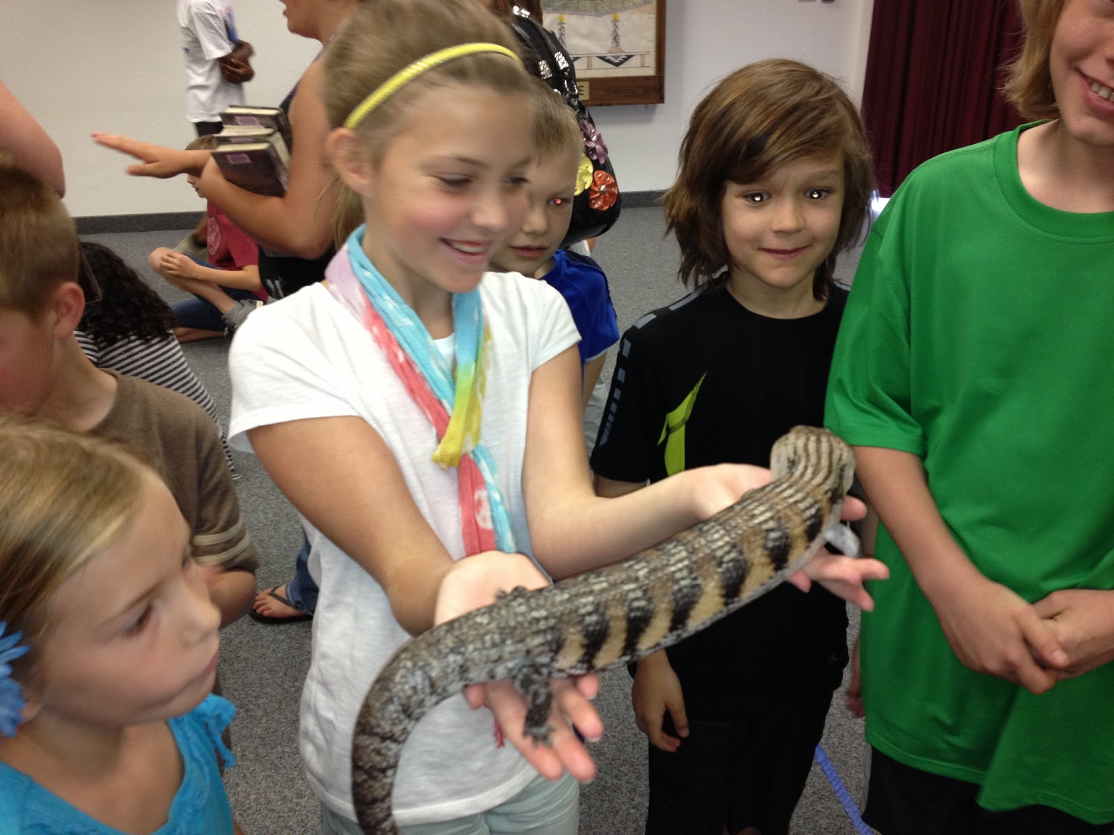 JENNY & ROYCE PETERSON FAMILY BLOG