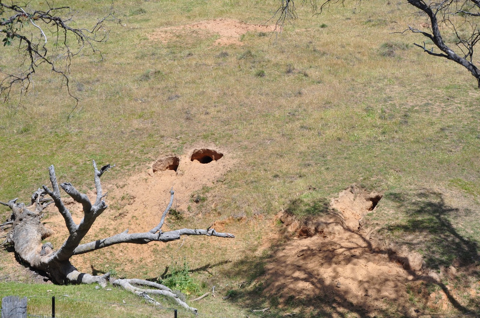 2013 Trip Central Australia