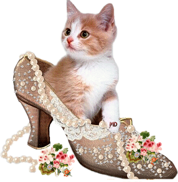 ® Imágenes y Gifs Animados ®: GIFS Y IMÁGENES DE ZAPATOS DE MUJER