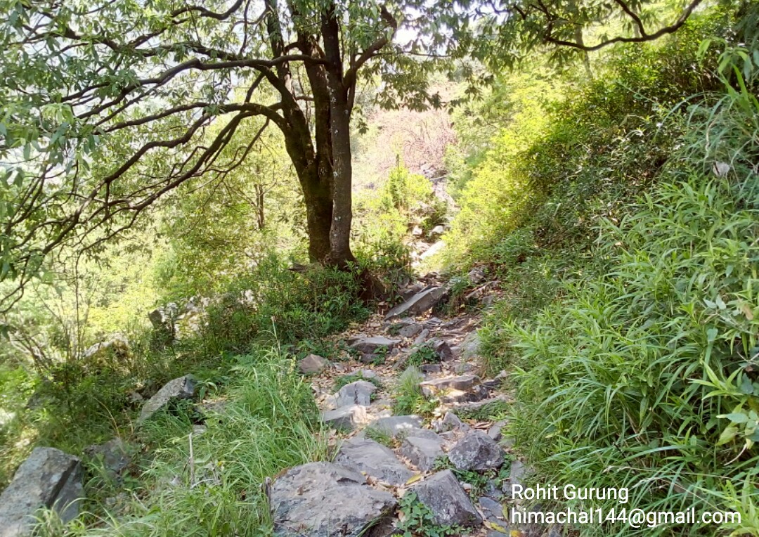 Amazing Himachal: Gallu Waterfall: a Secret Waterfall