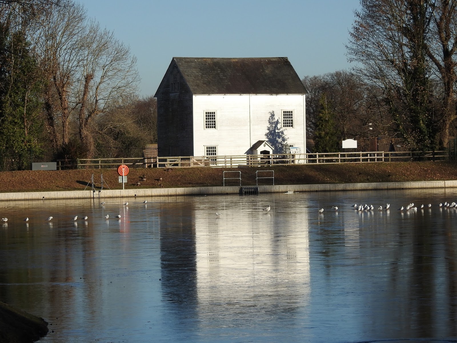 Crawley Old Town: TWENTY FIVE PICTURES: Ifield Water Mill