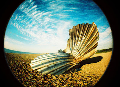 Jennifer's Digital Photo Blog: Types of Perspective in Photography