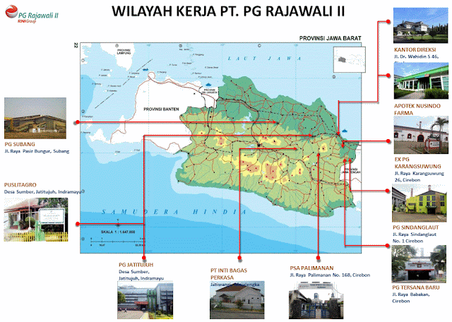 Profil - PT. PG Rajawali II