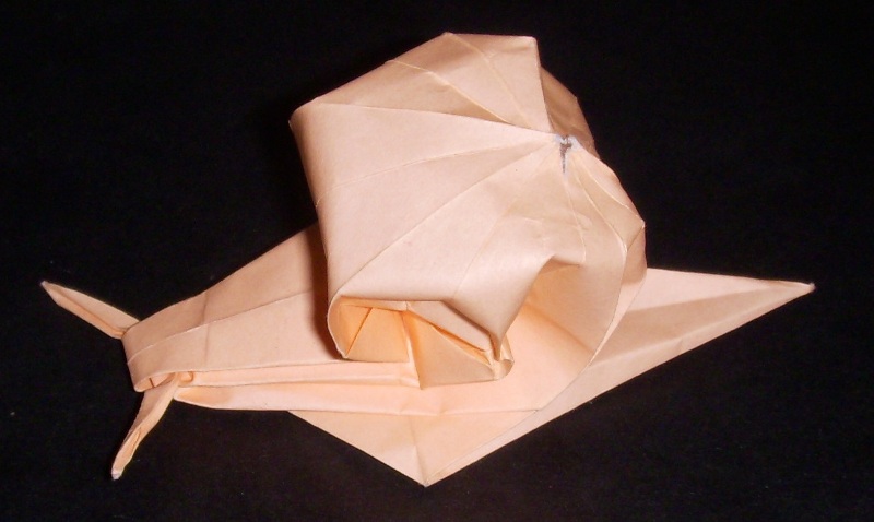 Origami: Origami Snail - 2