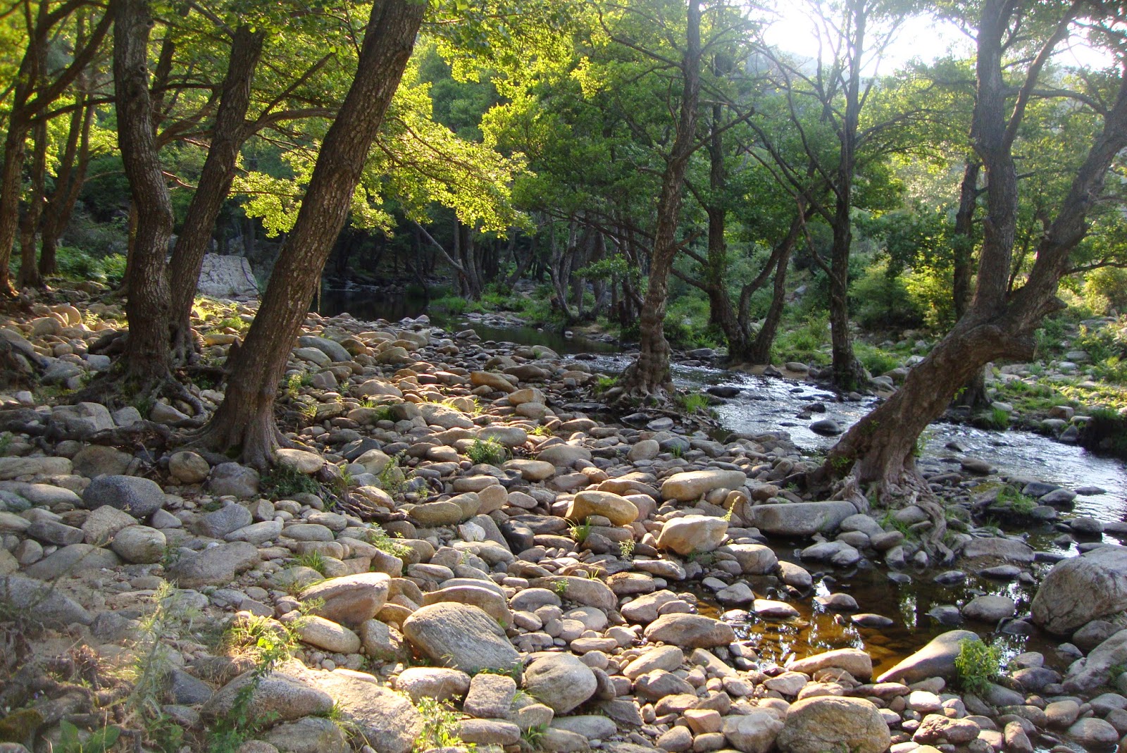 ΣΥΝΔΕΣΜΟΣ ΑΠΟΣΤΡΑΤΩΝ ΣΩΜΑΤΩΝ ΑΣΦΑΛΕΙΑΣ Ν.ΡΟΔΟΠΗΣ "Η ΑΓΙΑ ΕΙΡΗΝΗ ...