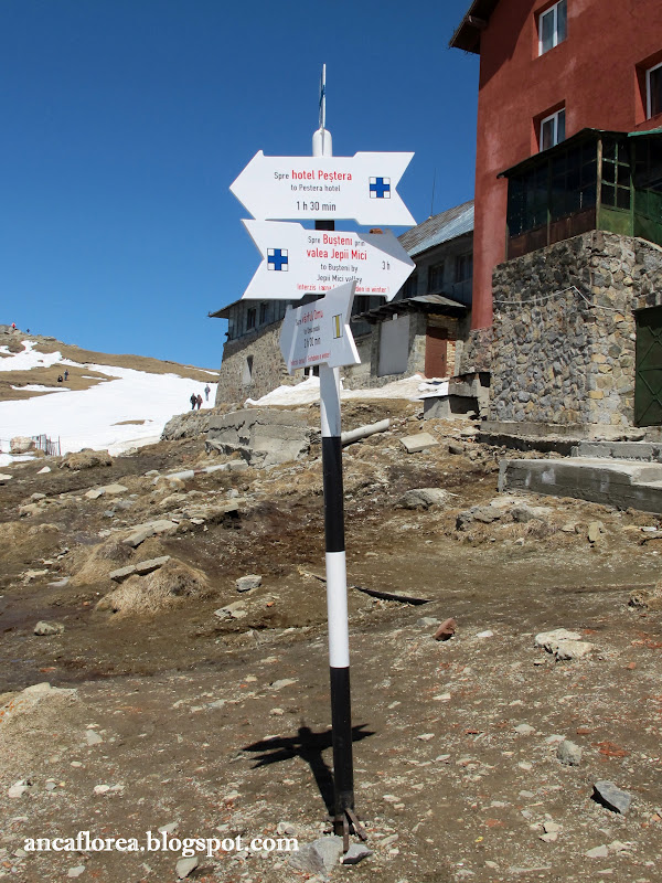 destinatiidevacanta.blogspot.com: Buşteni - Babele, Sfinxul - Platoul ...