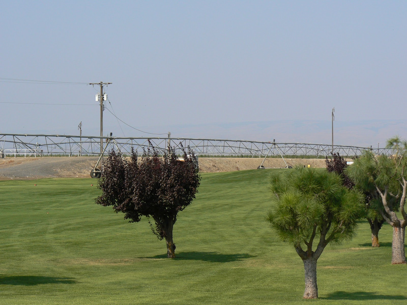 Two Golfers--One Pension: Quincy Golf Course Aka Colockum Ridge