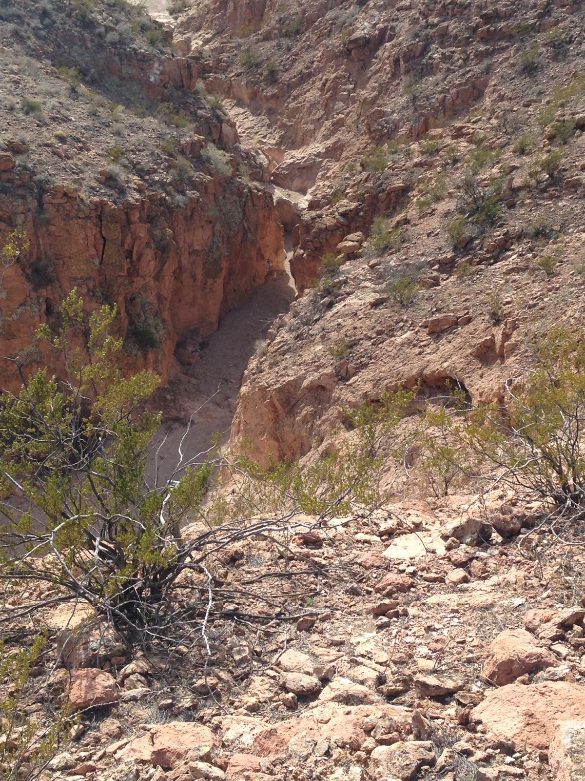 Southern New Mexico Explorer: Upper Faulkner Box Canyon- Organ ...