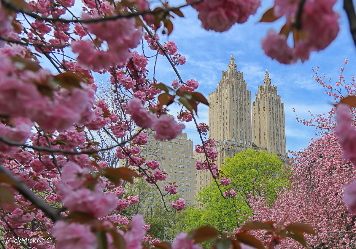 MickMickNYC: April in NYC