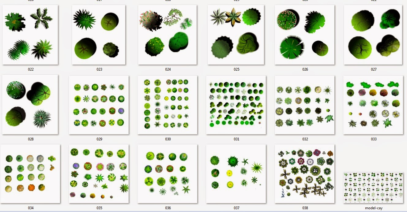 PSD cây mặt bằng dùng cho ghép Shop