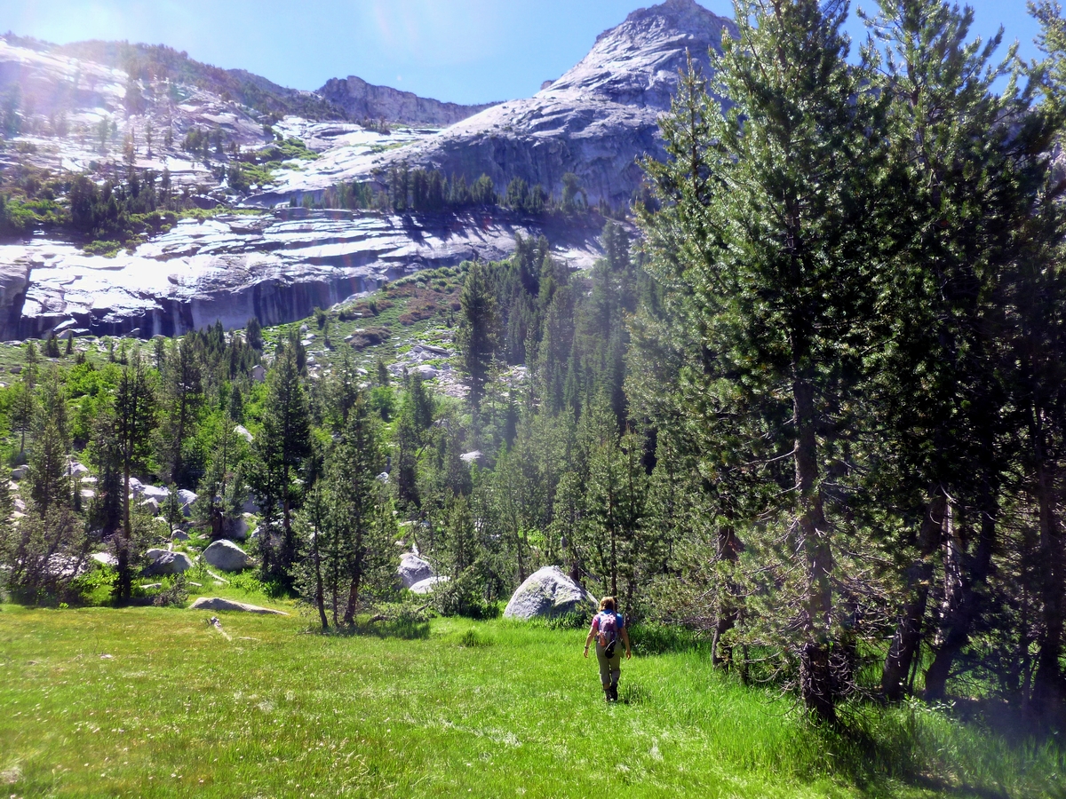 The Saratoga Skier and Hiker: Tenaya Peak, Yosemite Nat'l Park: 06/26/2013