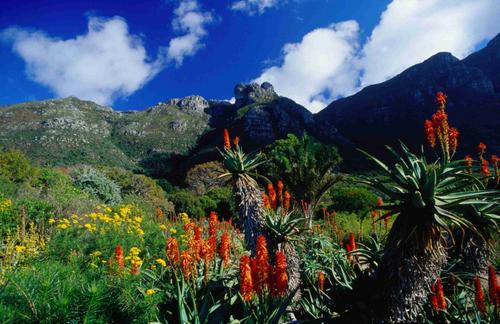 Tour And Travel: Garden Route (South Africa)