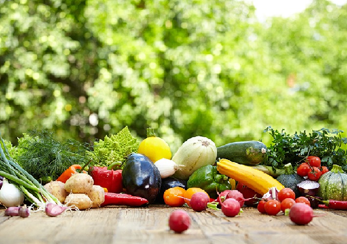 Los beneficios de tener un huerto urbano | Plantas