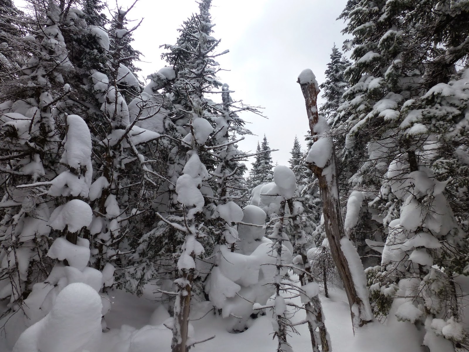 Off on Adventure: MacNaughton Mountain (4000') - High Peaks Wilderness ...