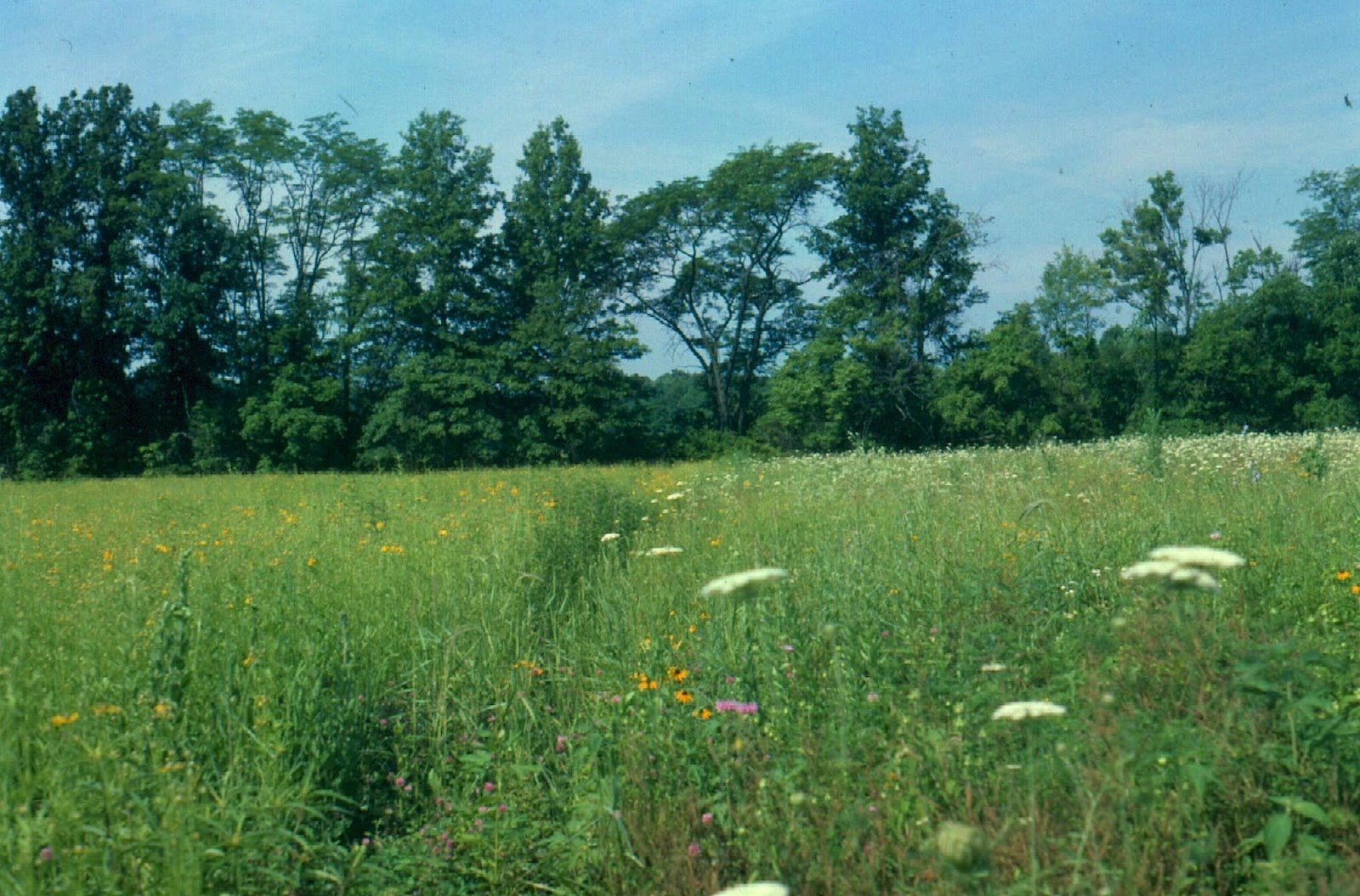 Field Biology in Southeastern Ohio: Prairies Part 2: Construction
