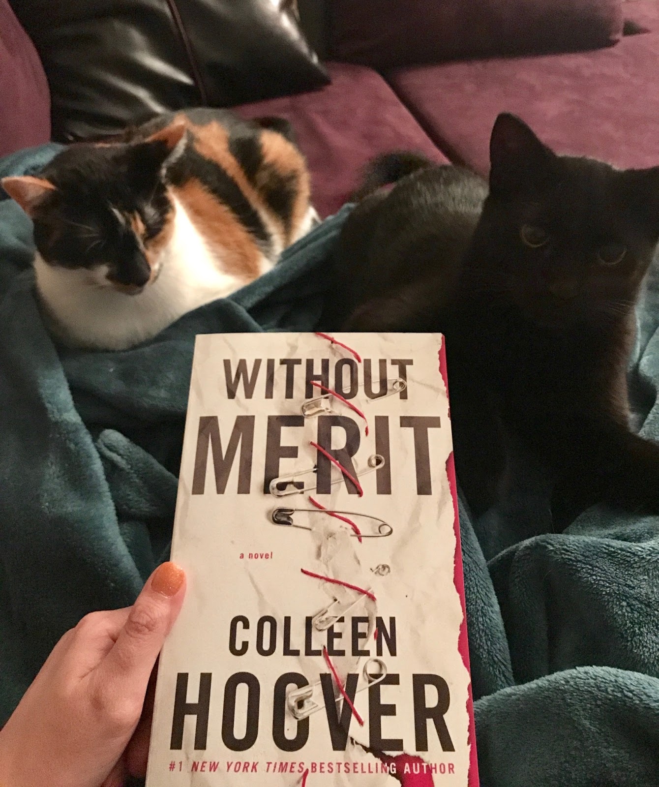 Meant to Live: 'Without Merit' by Colleen Hoover — a must-read for ...