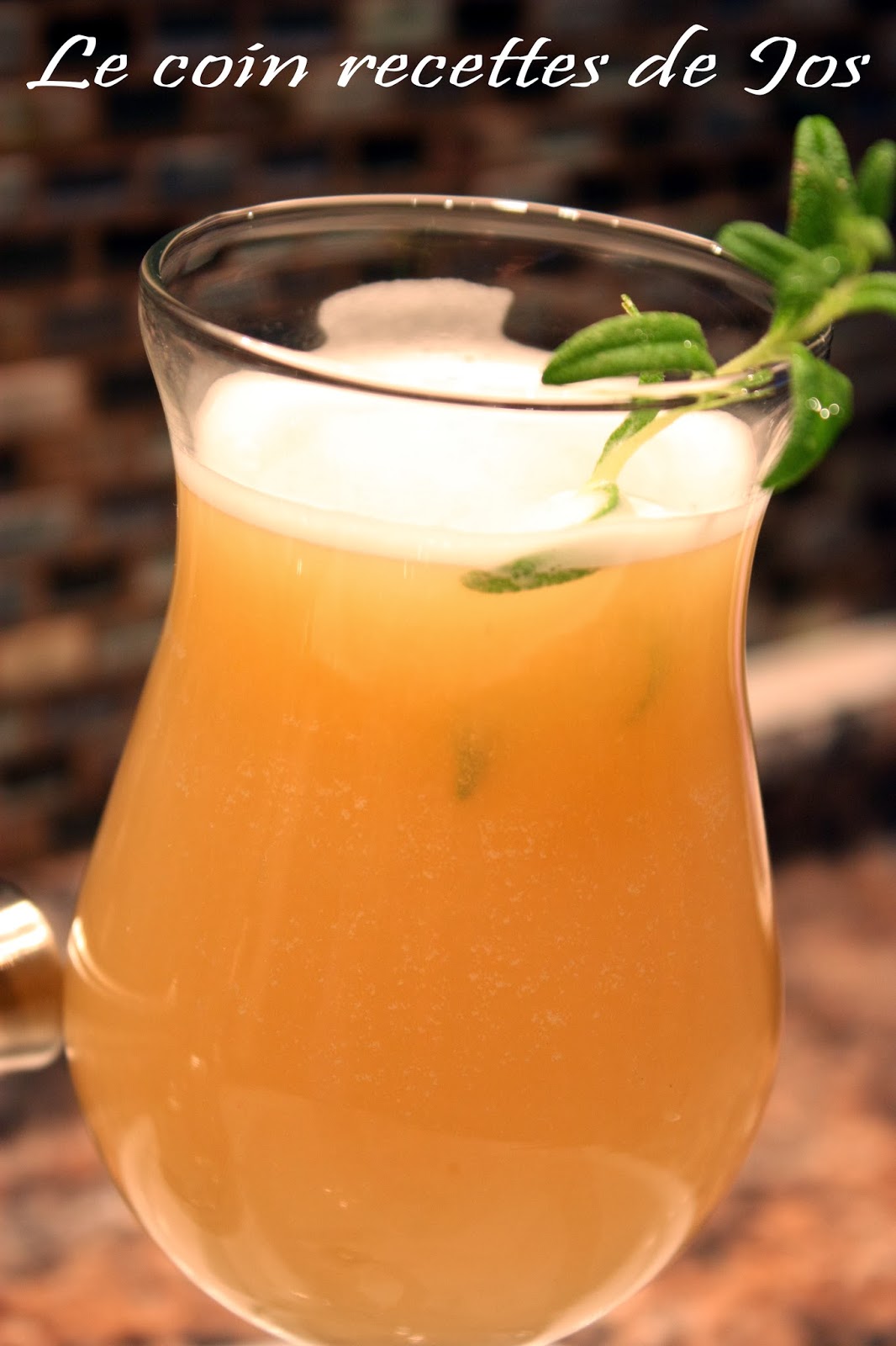 Le coin recettes de Jos: COCKTAIL DE PAMPLEMOUSSE