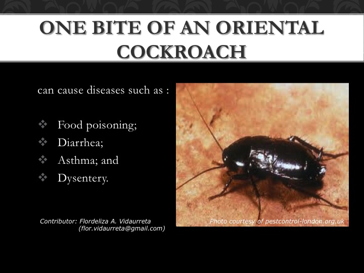 Merlina's Sampayan: Interesting to Know: One Bite (29 - 32)