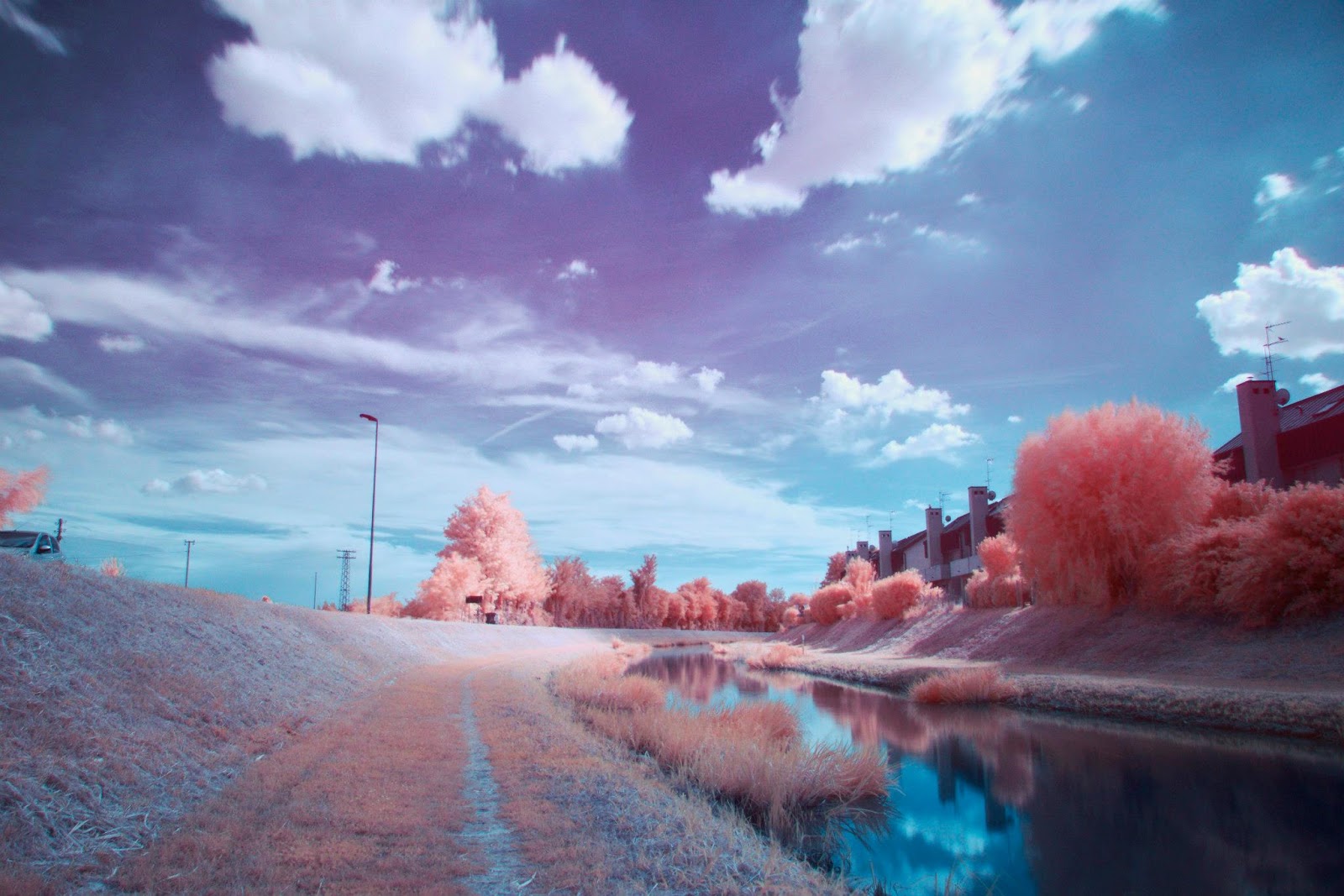 Sulle ali della libellula: Voglio un mondo rosa!