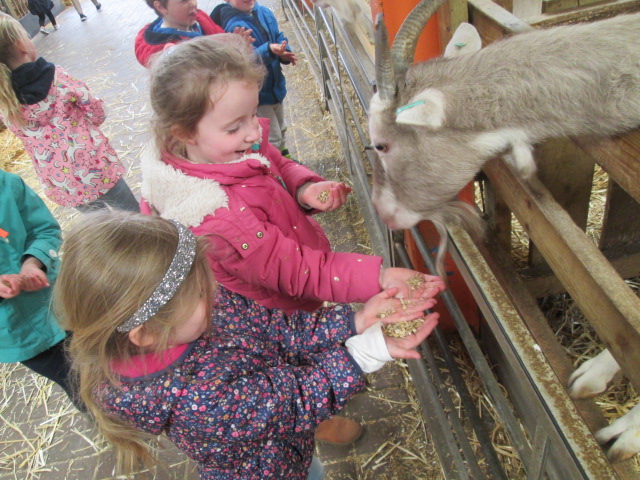 The Silverhill Blog: 2019