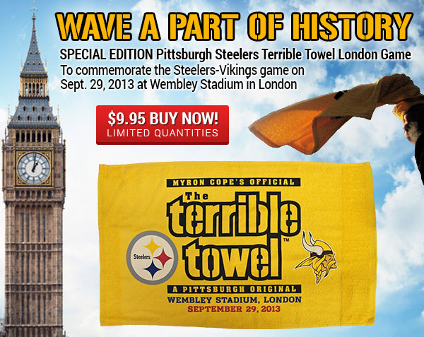 Sean's Ramblings: Why Is There A Vikings Logo On The Terrible Towel?