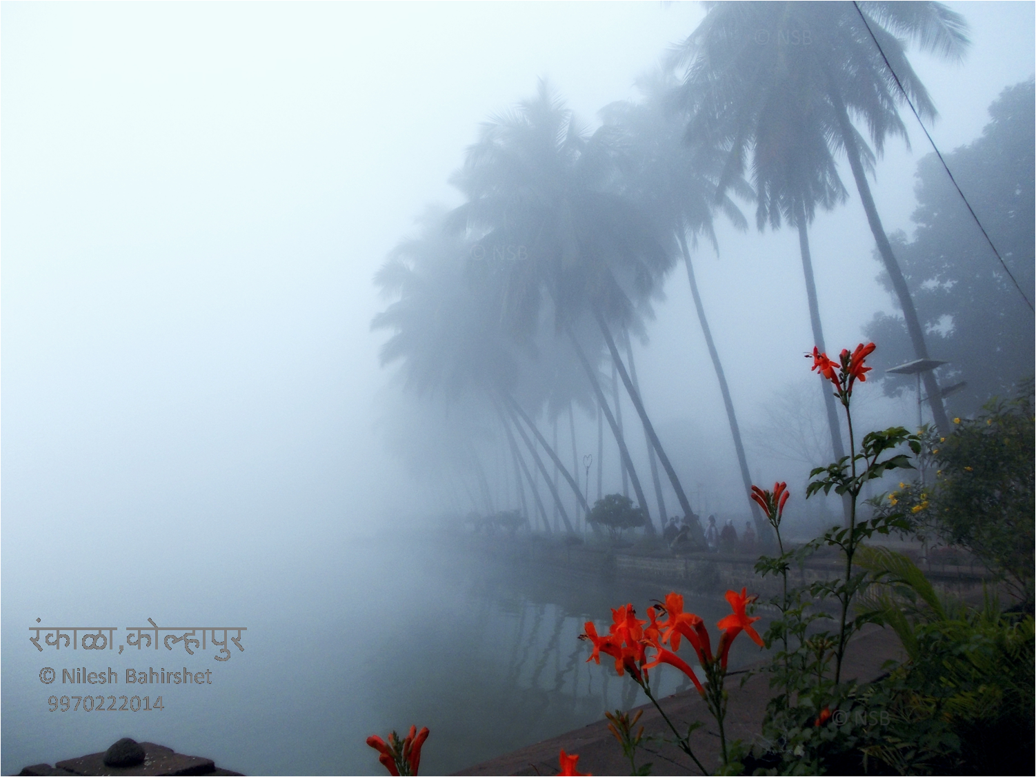 Rankala Lake,Kolhapur,Maharashtra (रंकाळा तलाव,कोल्हापूर,महाराष्ट्र ...