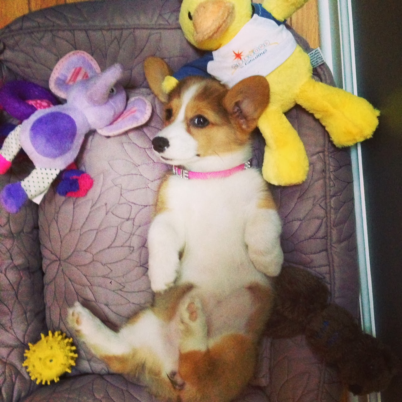 Grown Men With A Blerg